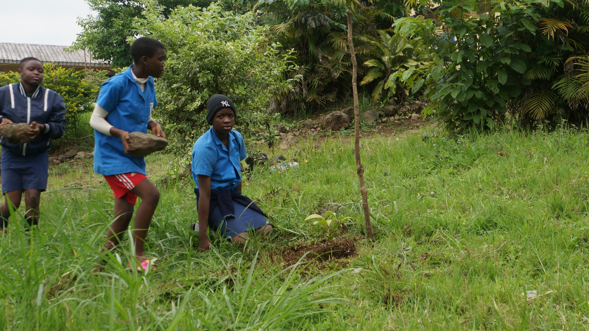 ROTO GREEN SCHOOLS – REACH BACK